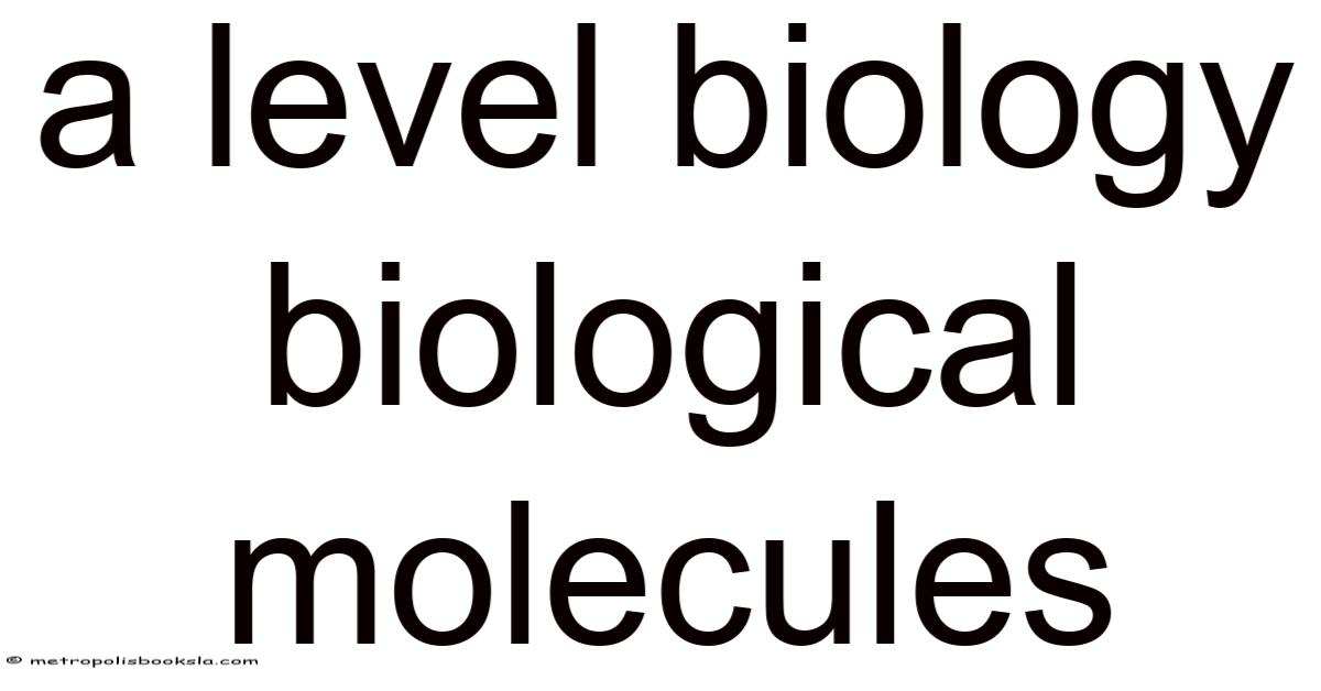 A Level Biology Biological Molecules