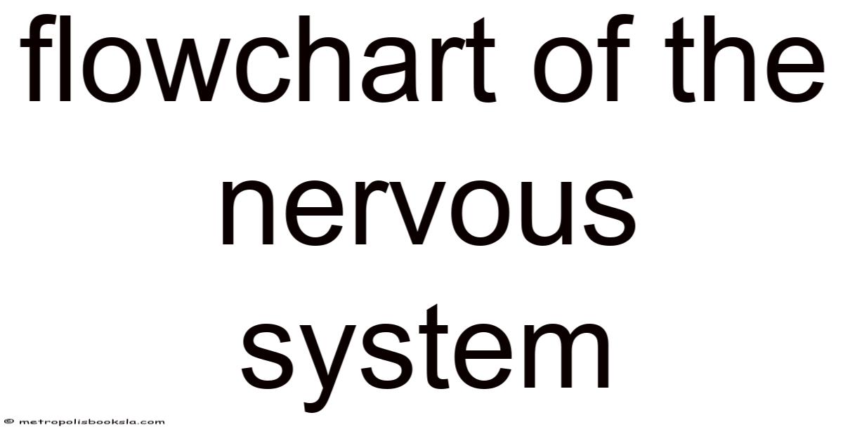 Flowchart Of The Nervous System