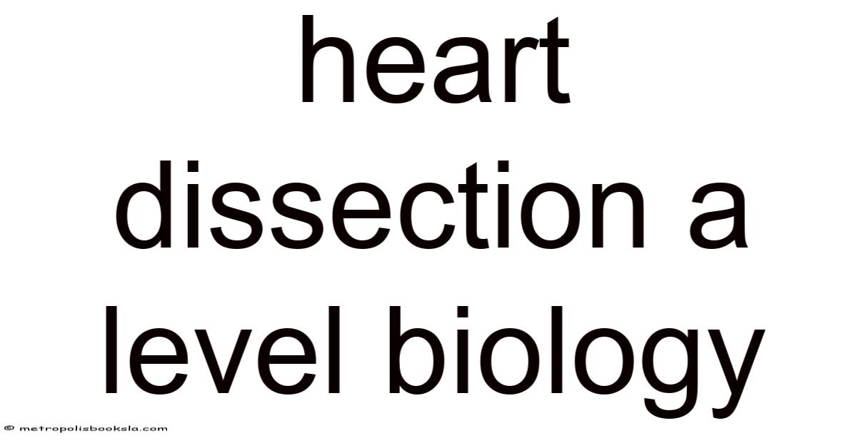 Heart Dissection A Level Biology