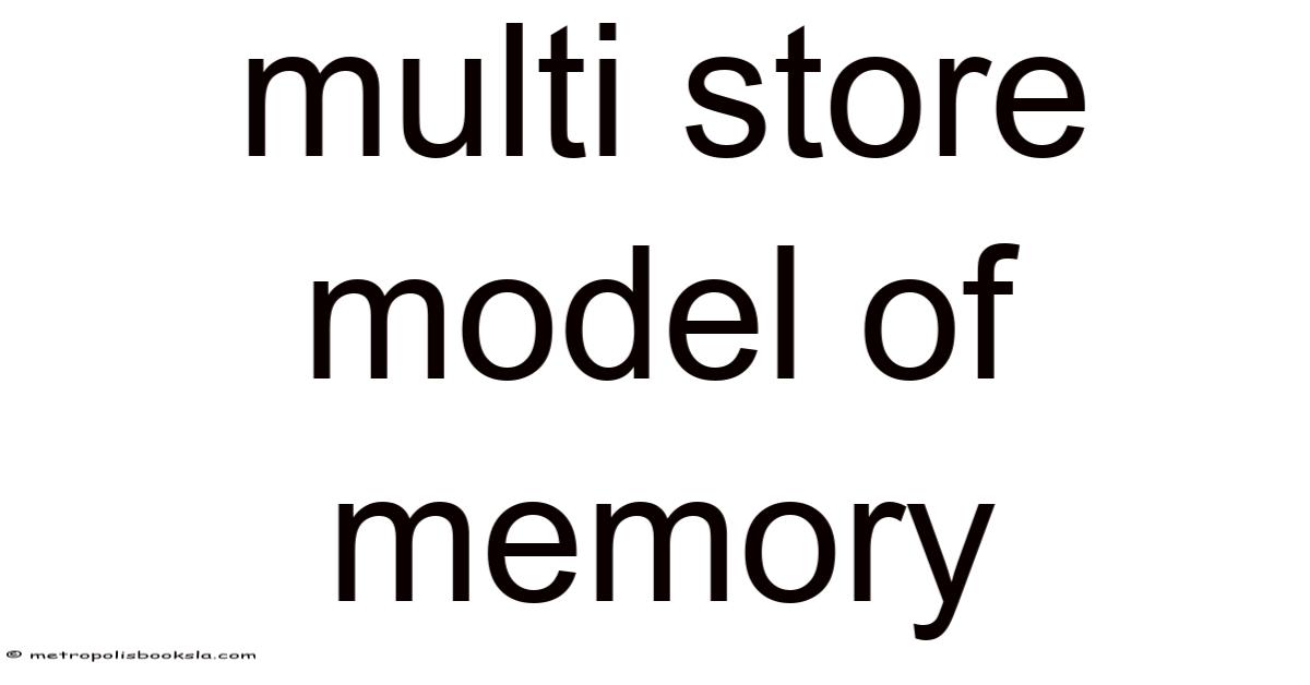 Multi Store Model Of Memory