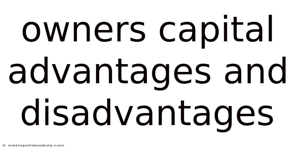 Owners Capital Advantages And Disadvantages