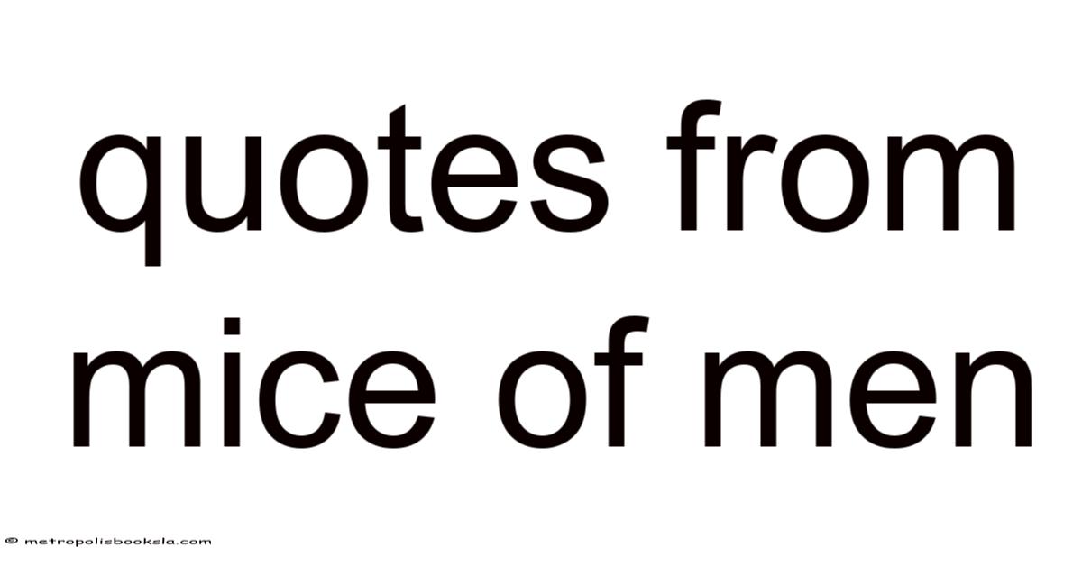 Quotes From Mice Of Men